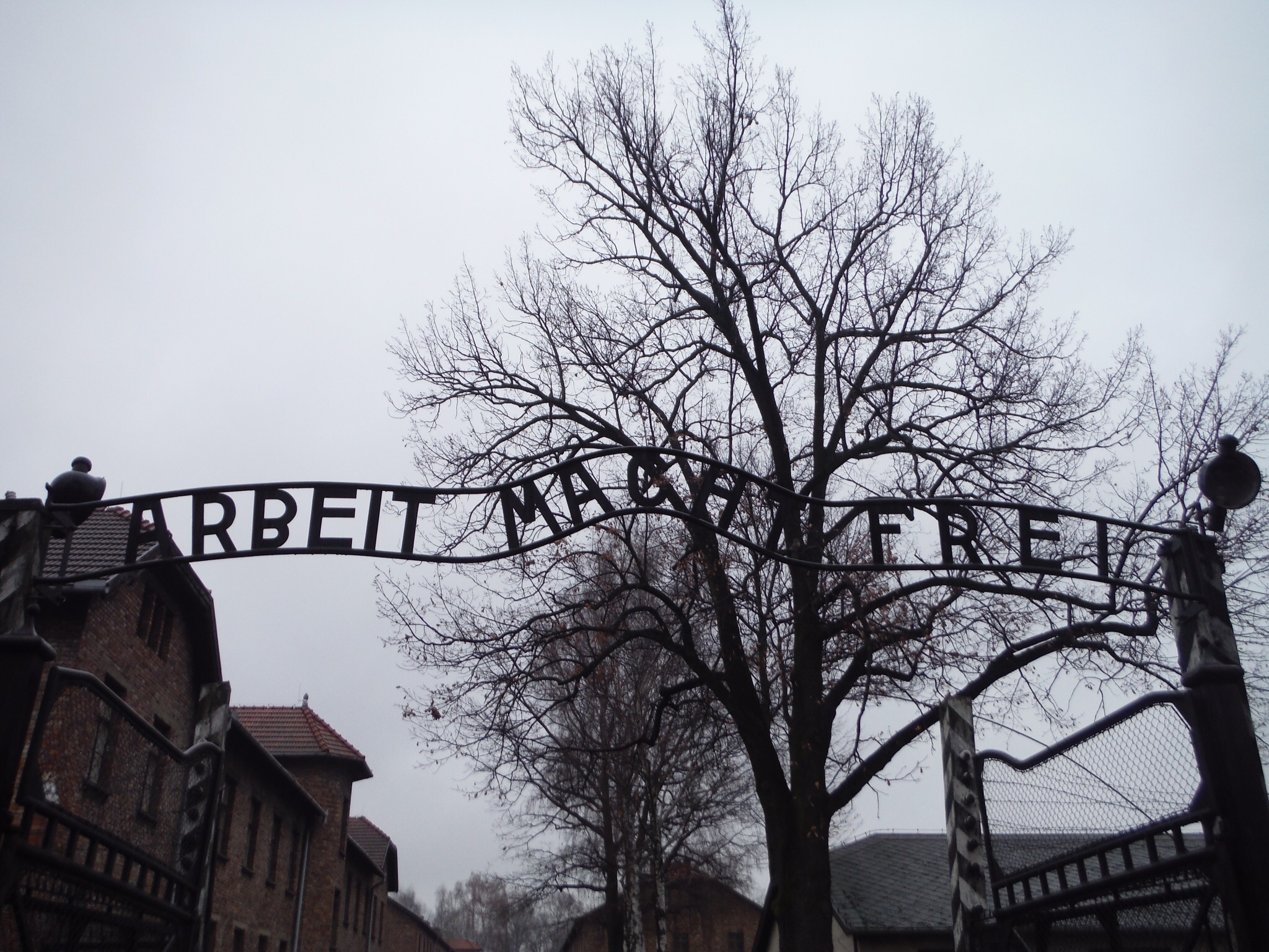 Auschwitz | The Ginger Trek