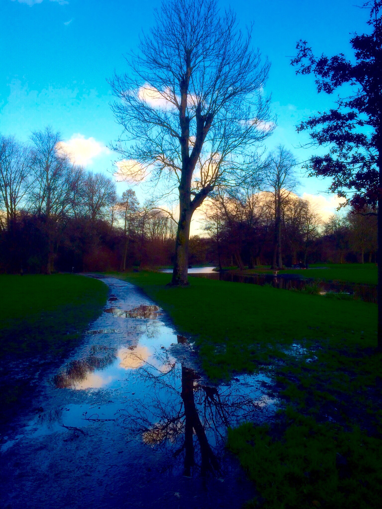 My World | The Ginger Trek