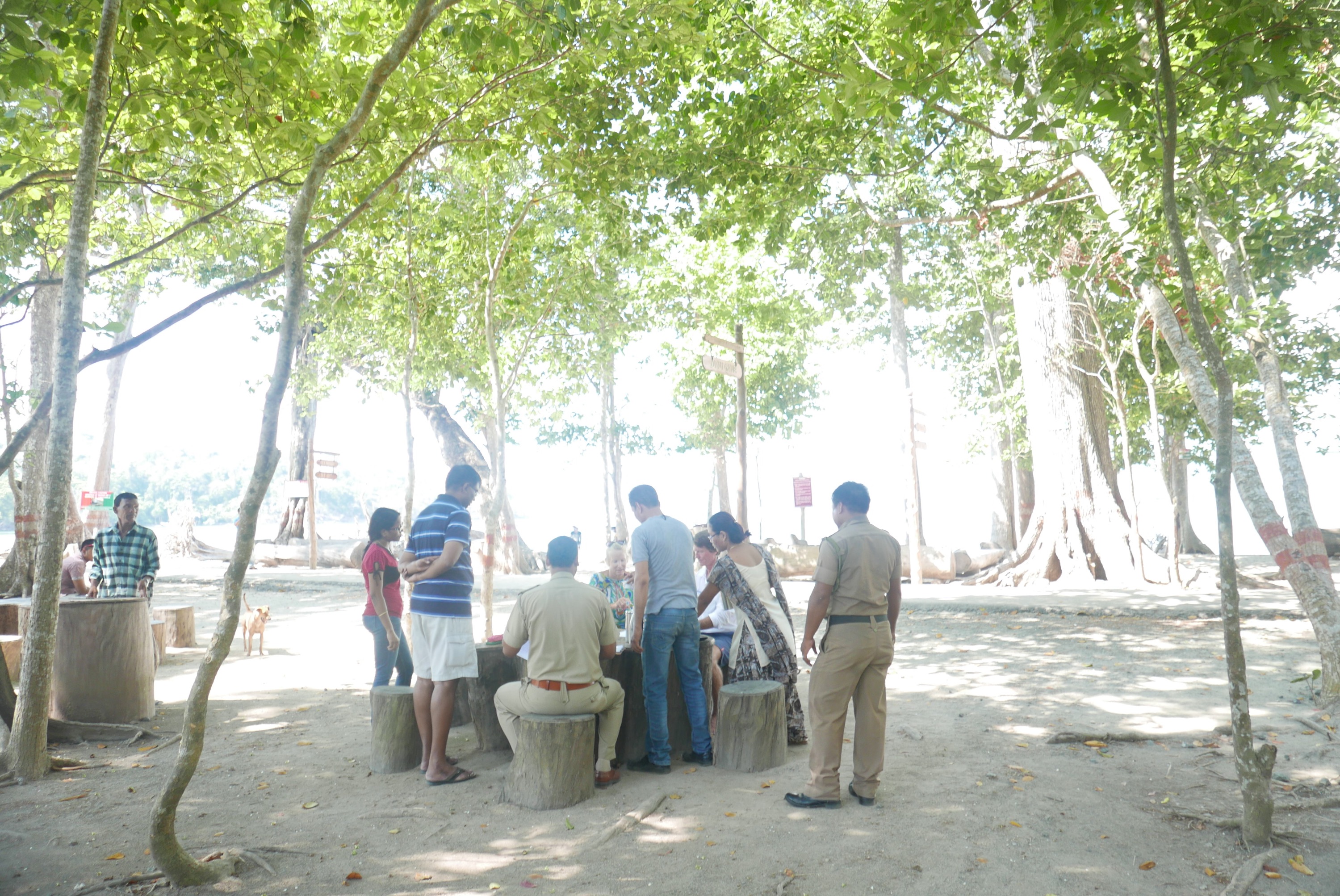 The Welcomed Wanderer | The Ginger Trek